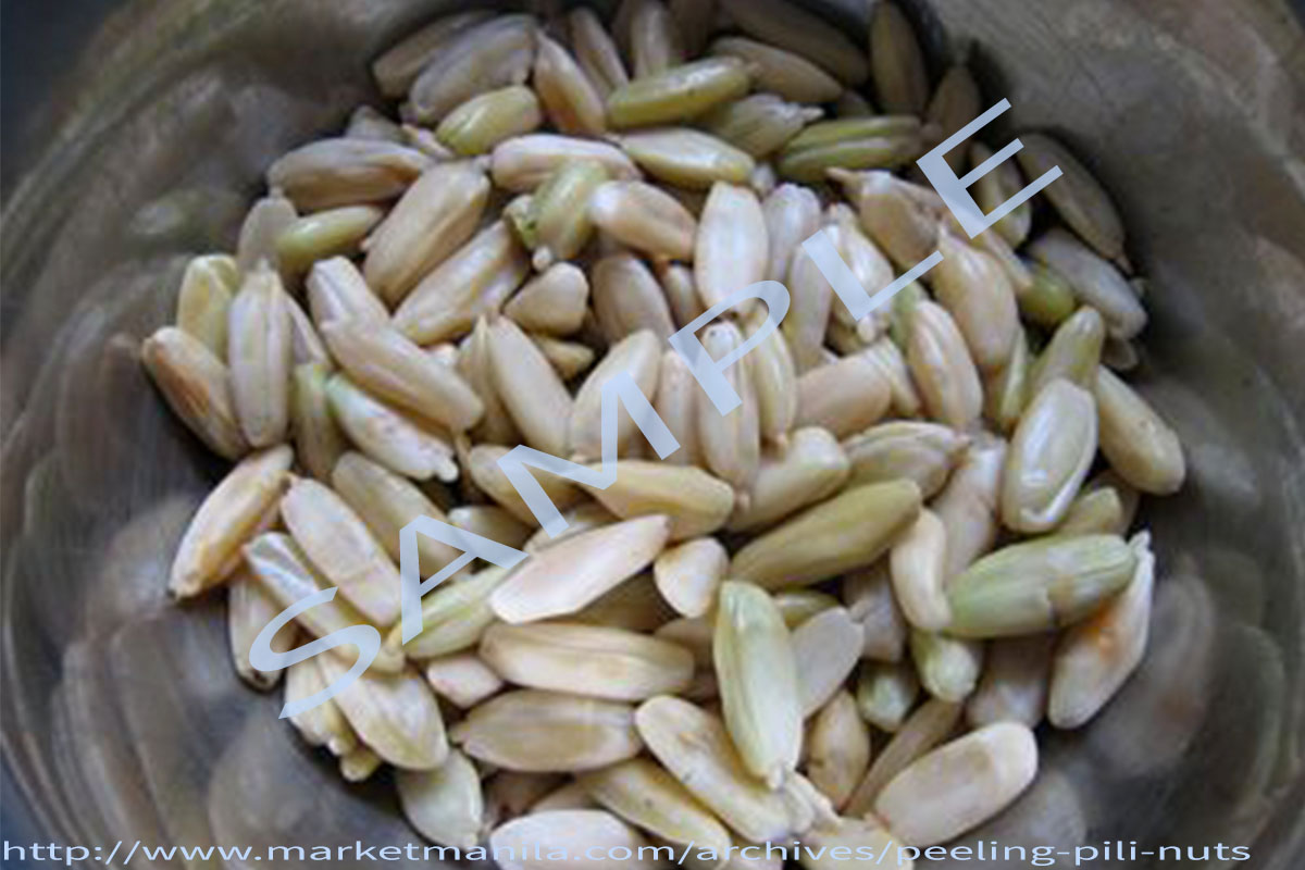 Varieties of Pili