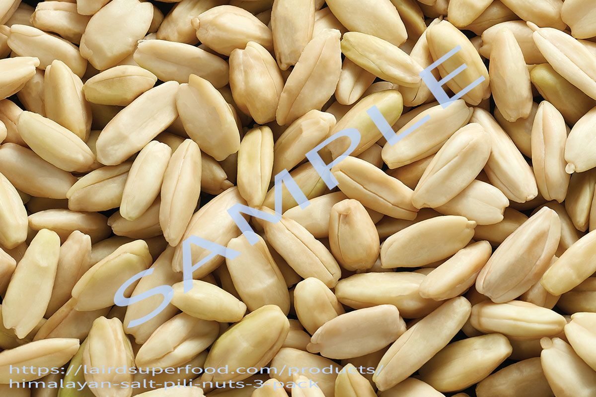 Morphological Characteristics of Pili