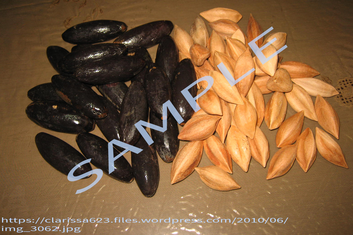 Varieties of Pili